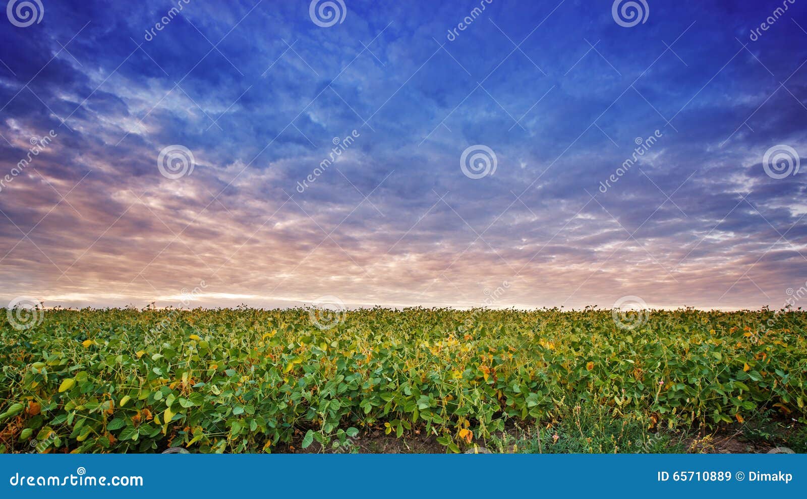Sunset sky clouds field stock image. Image of land, field - 65710889