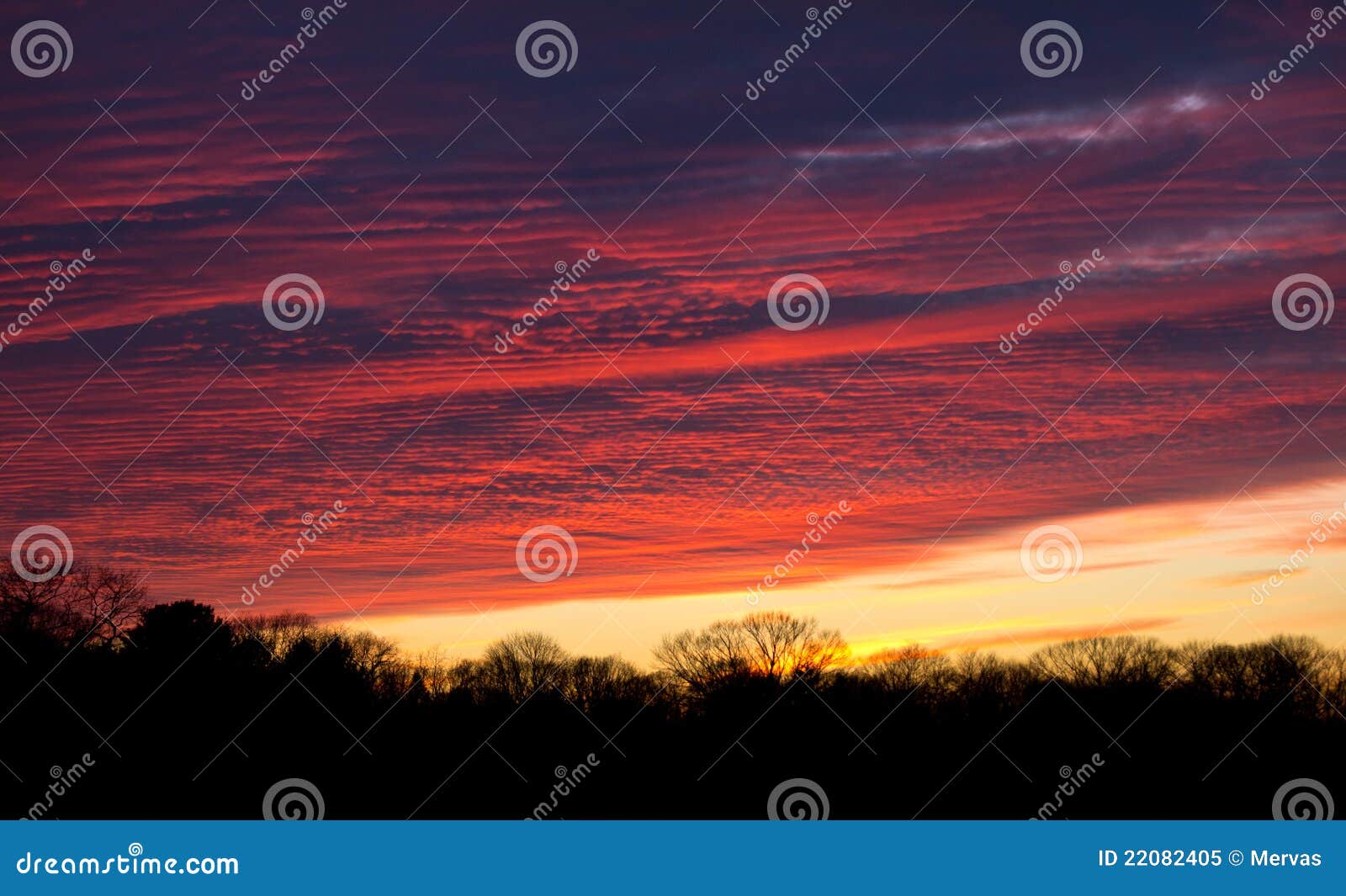 Sunset sky in the fall stock image. Image of autumn, grass - 22082405