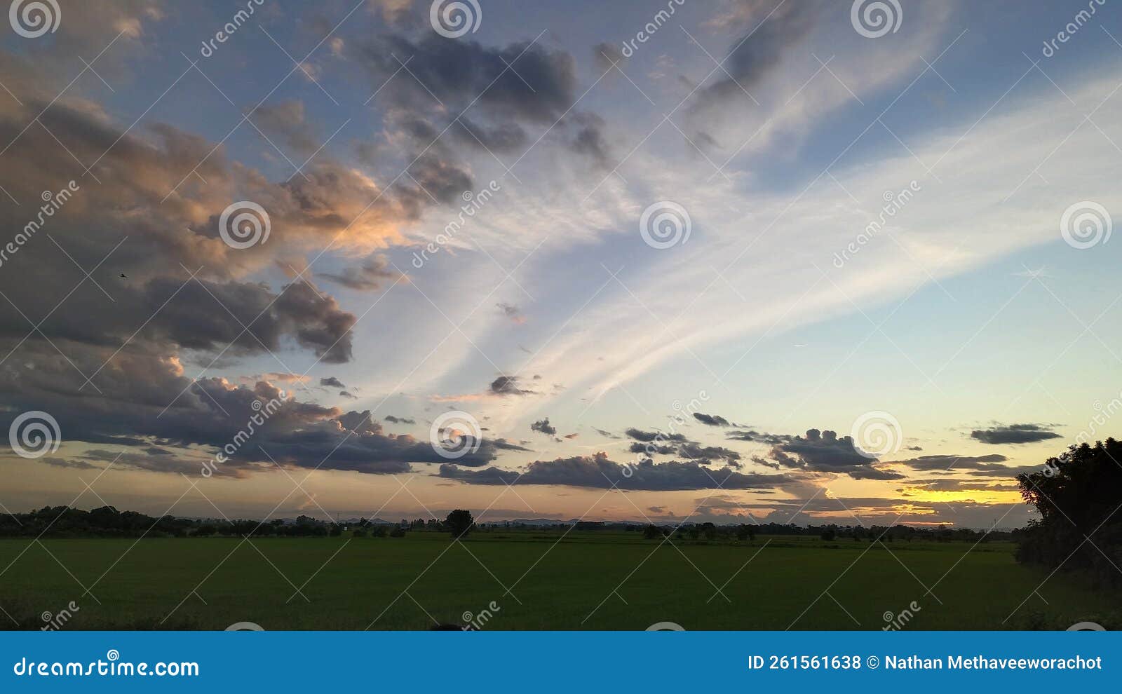 Sunset Sky Glass field stock photo. Image of dusk, prairie - 261561638