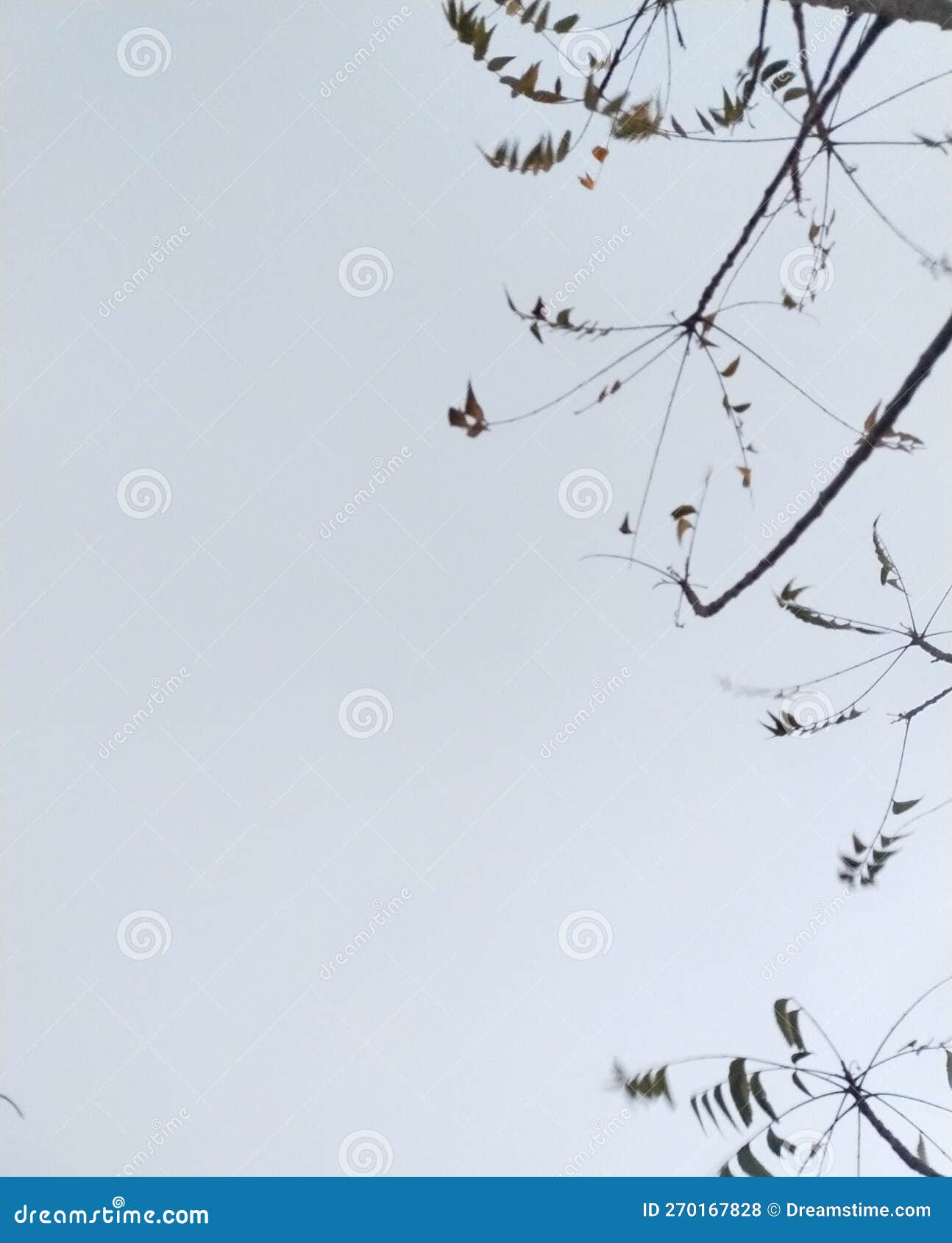 Sunset Sky Looks Beautiful Weather Stock Photo - Image of afternoon ...