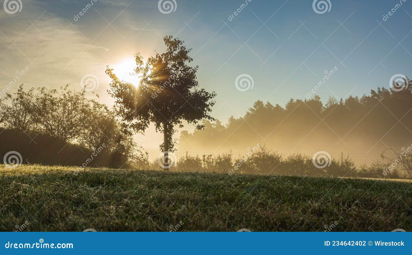 Sunset Sky Over the Field in the Evening Stock Photo - Image of ...
