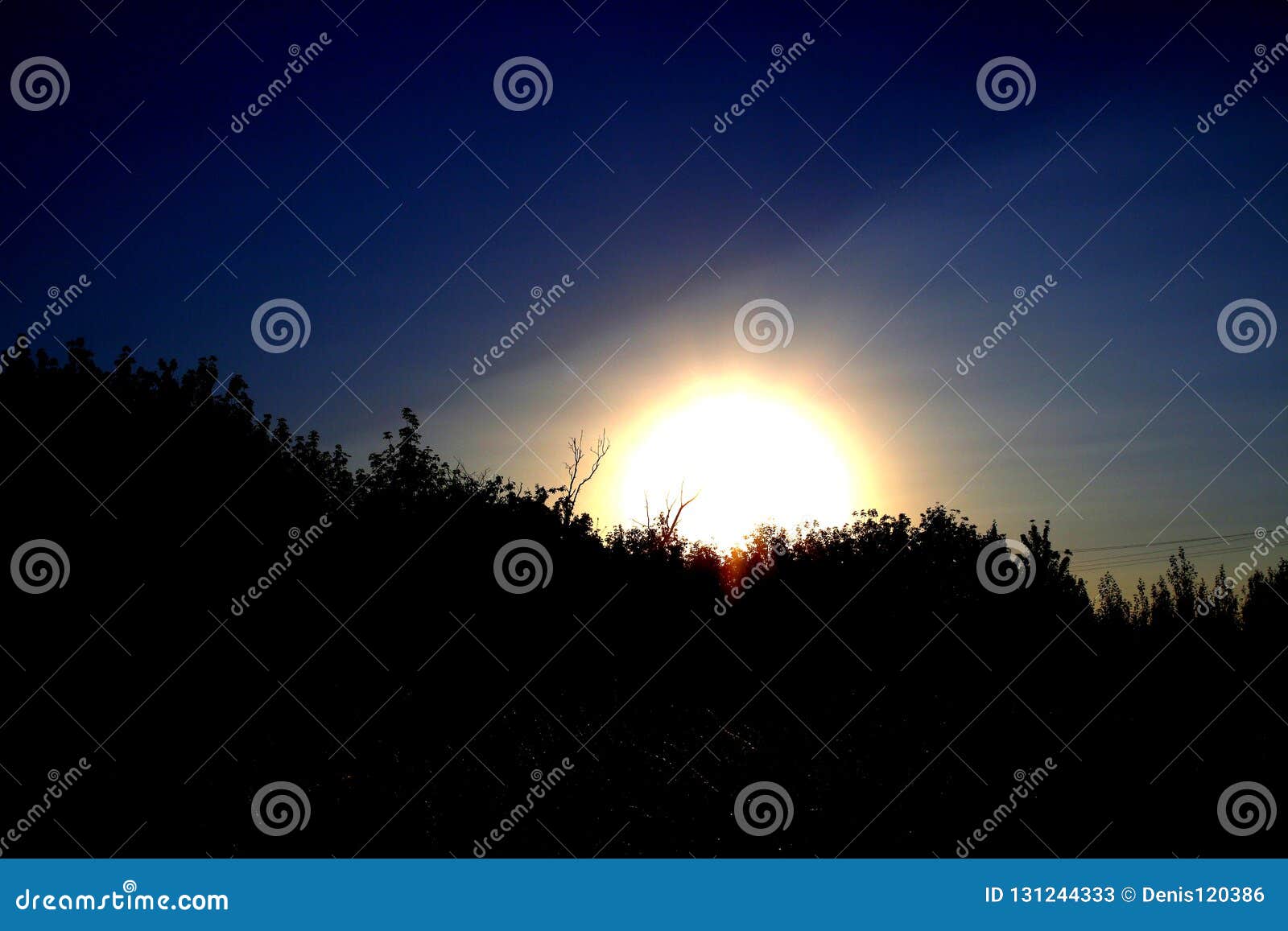 Big sun in the sky stock image. Image of tree, garden - 131244333