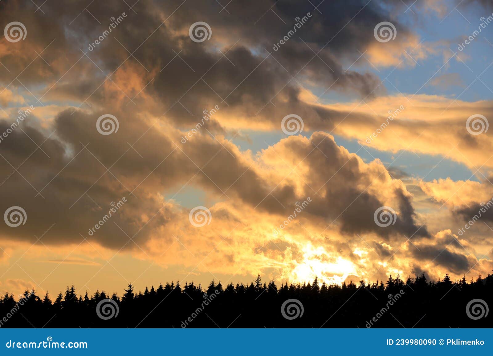 Sunset sky over forest stock photo. Image of scene, evening - 239980090
