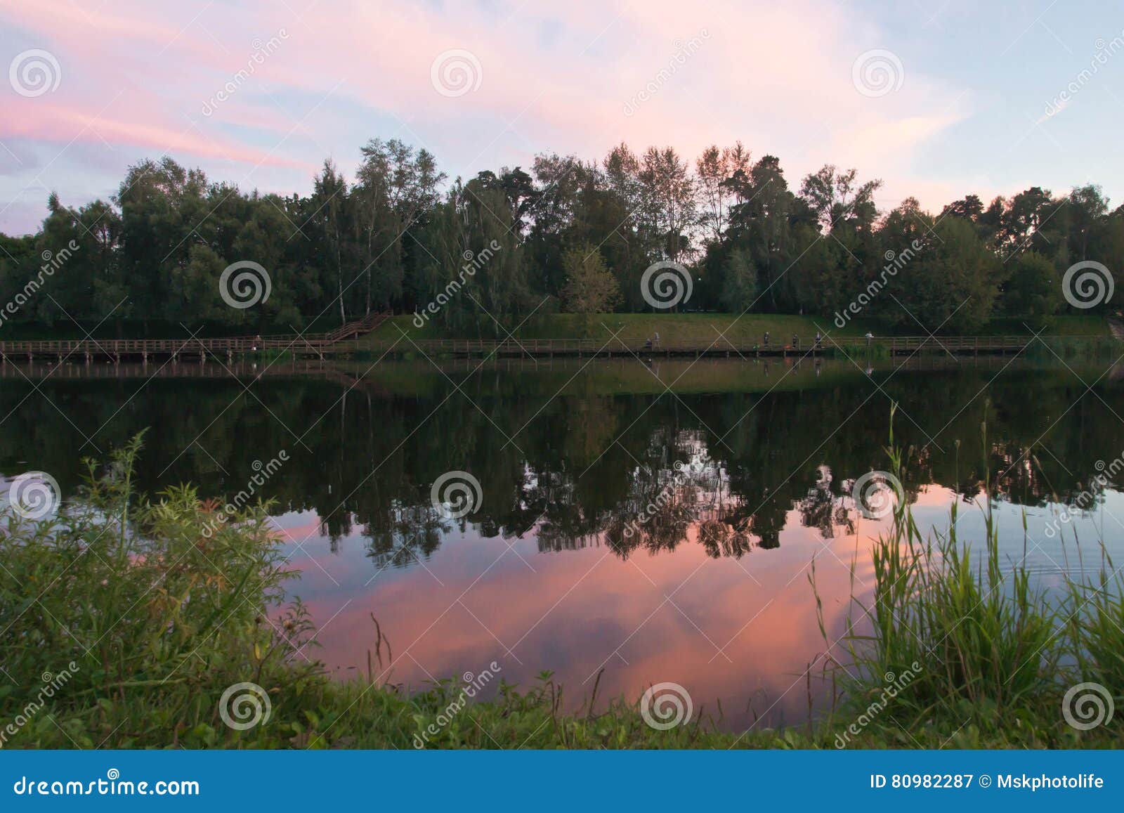 Sunset Sky Over a Pond in Summer Stock Image - Image of bush ...