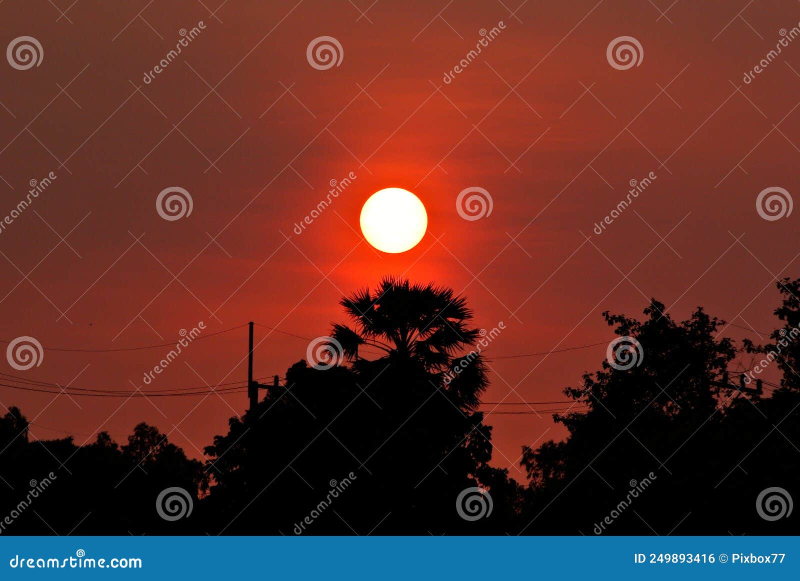 Sunset Sky Over Tree Silhouette Stock Photo - Image of black, dramatic ...