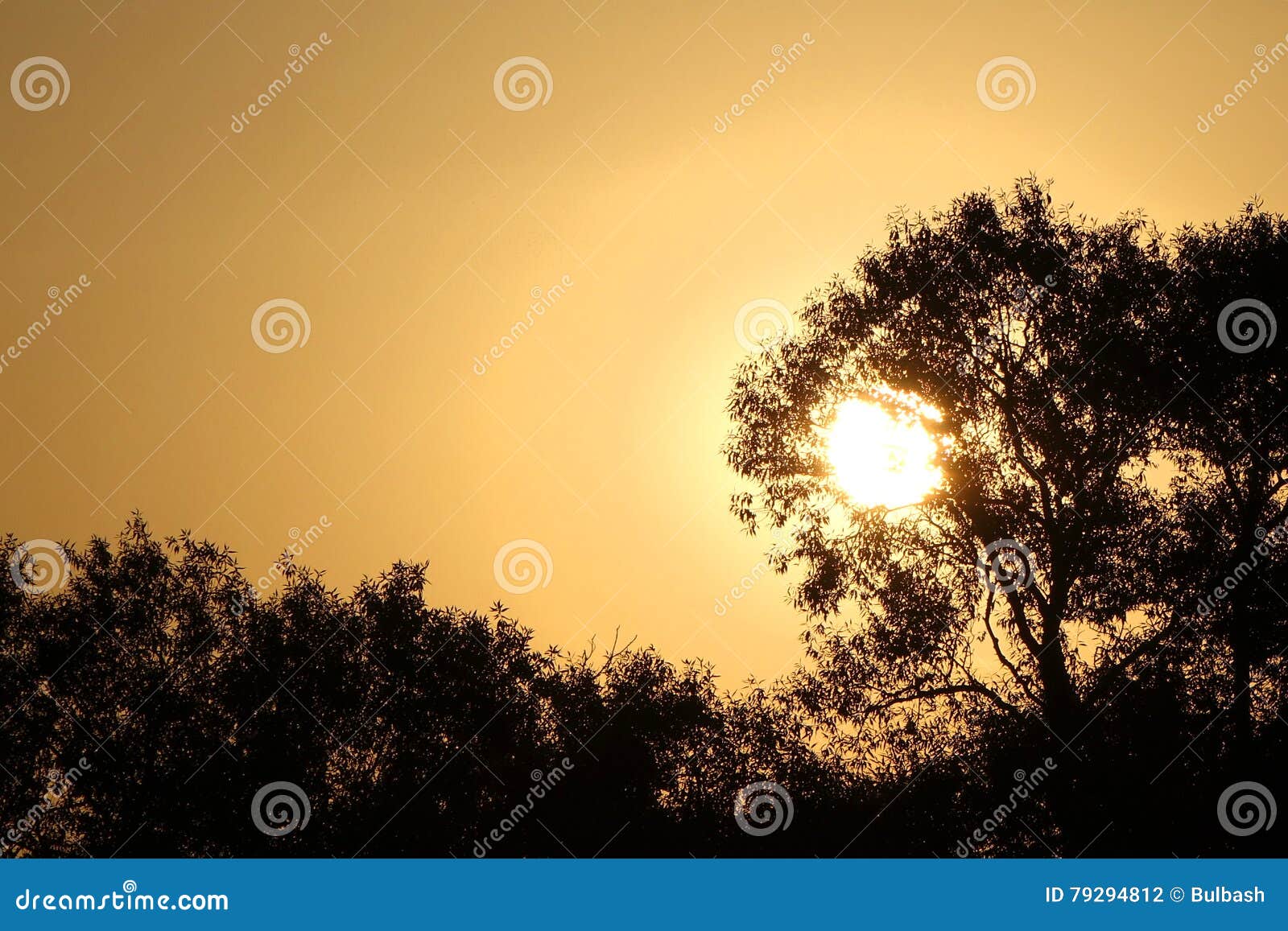 Sunset sky over trees stock photo. Image of drawing, scene - 79294812