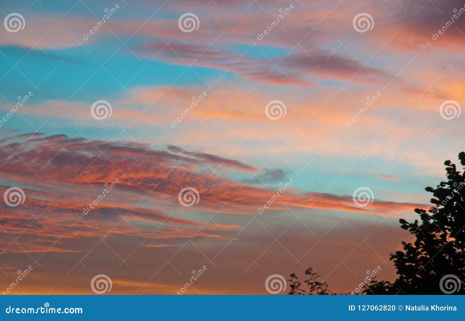 Sunset Sky Pink Clouds Tree Stock Photo - Image of field, sward: 127062820