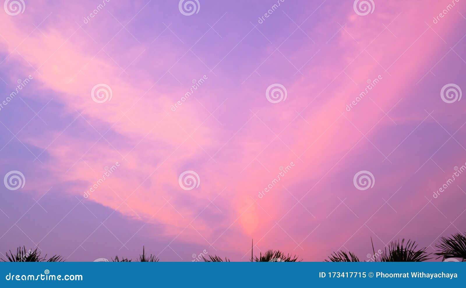 Sunset Sky, in Pink Colour with Clouds As Angel Shape Stock Image ...