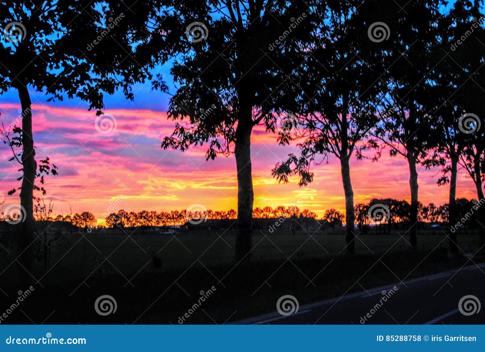 Sunset stock photo. Image of sunset, tree, blue, pink - 85288758