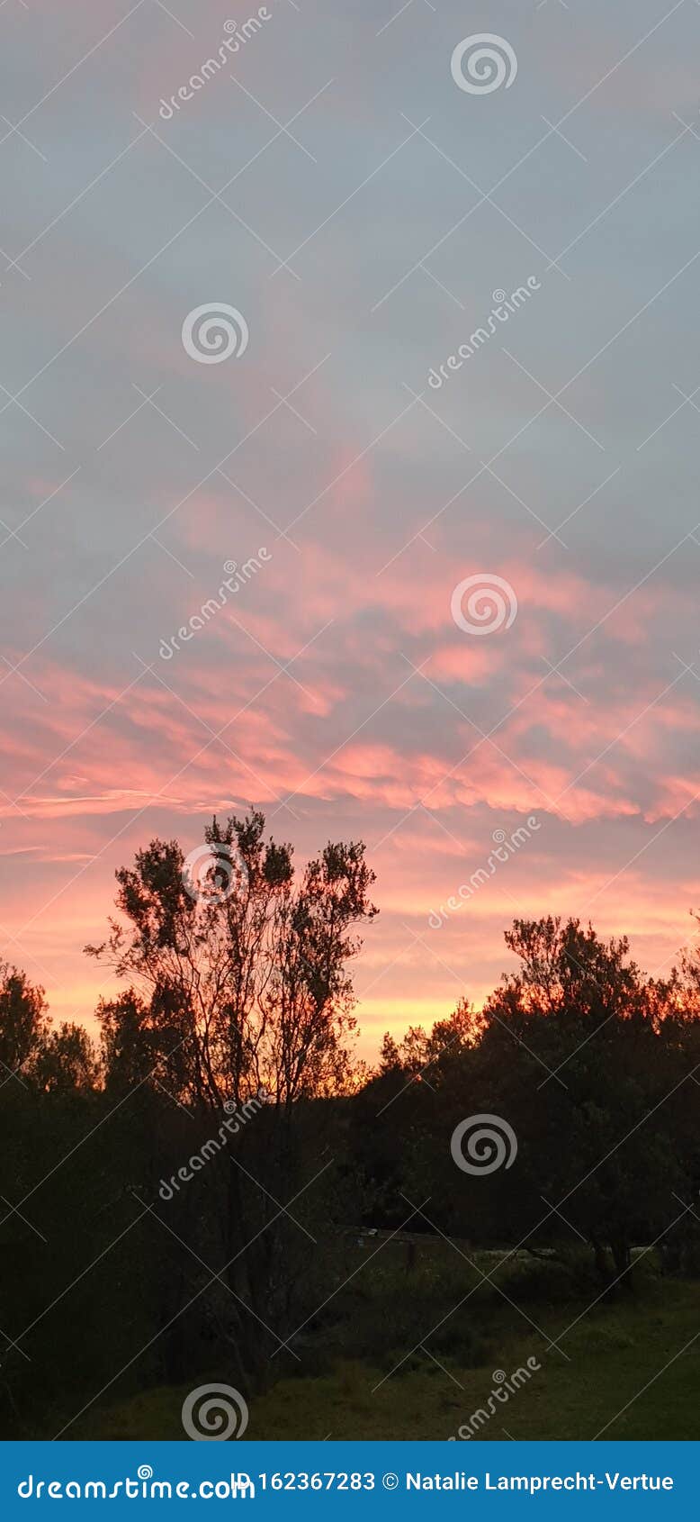 Sunset,sky, Trees Beautifull Nightfall Dusk Stock Image - Image of ...