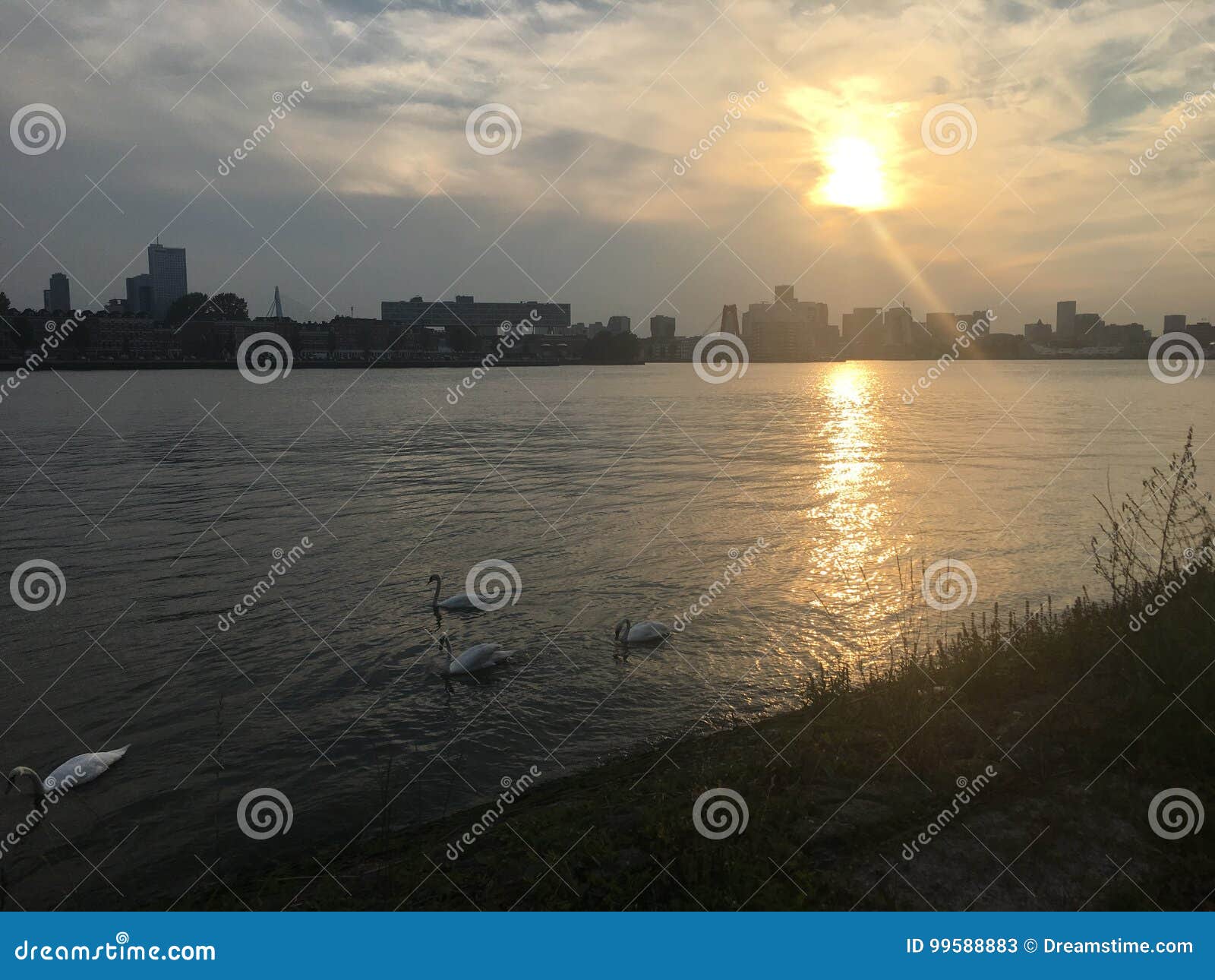 Sunset Rotterdam stock image. Image of rotterdam, shore - 99588883