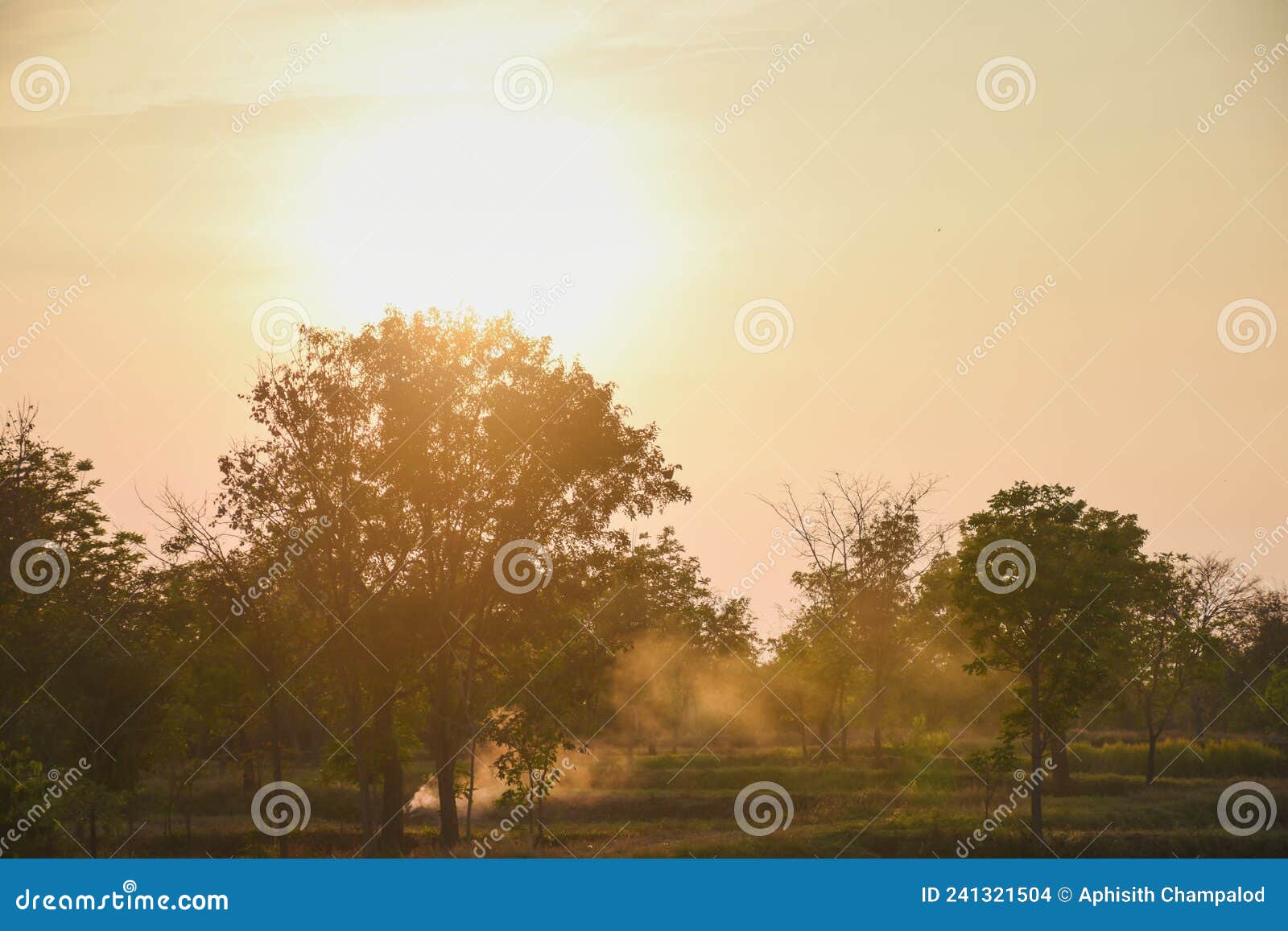Sunset with Smoke in the Forest Stock Photo - Image of lifestyle ...