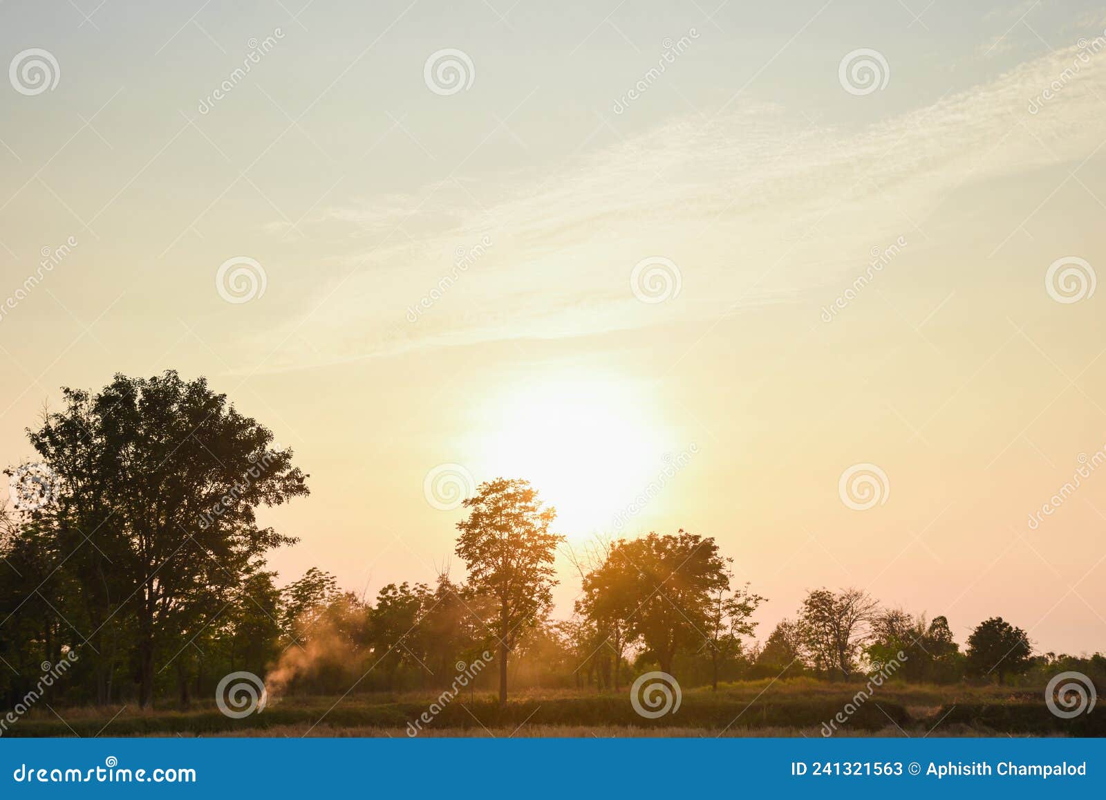 Sunset with Smoke in the Forest Stock Image - Image of scenic, models ...