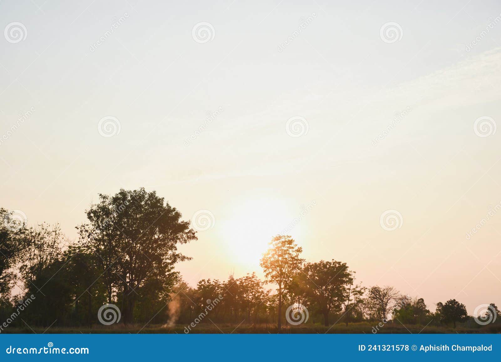 Sunset with Smoke in the Forest Stock Photo - Image of morning ...