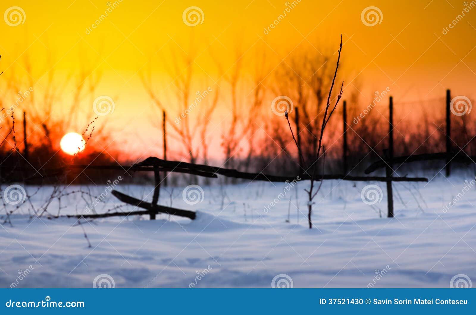 Sunset with snow stock photo. Image of landscape, peaceful - 37521430