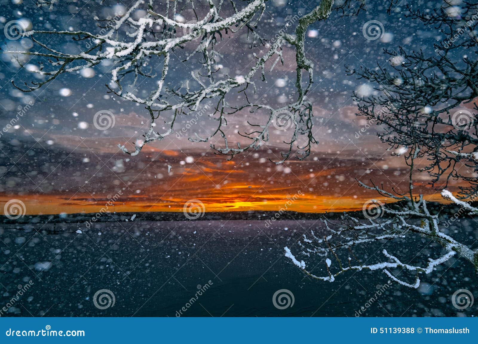 Sunset through snowfall stock photo. Image of cold, freezing - 51139388