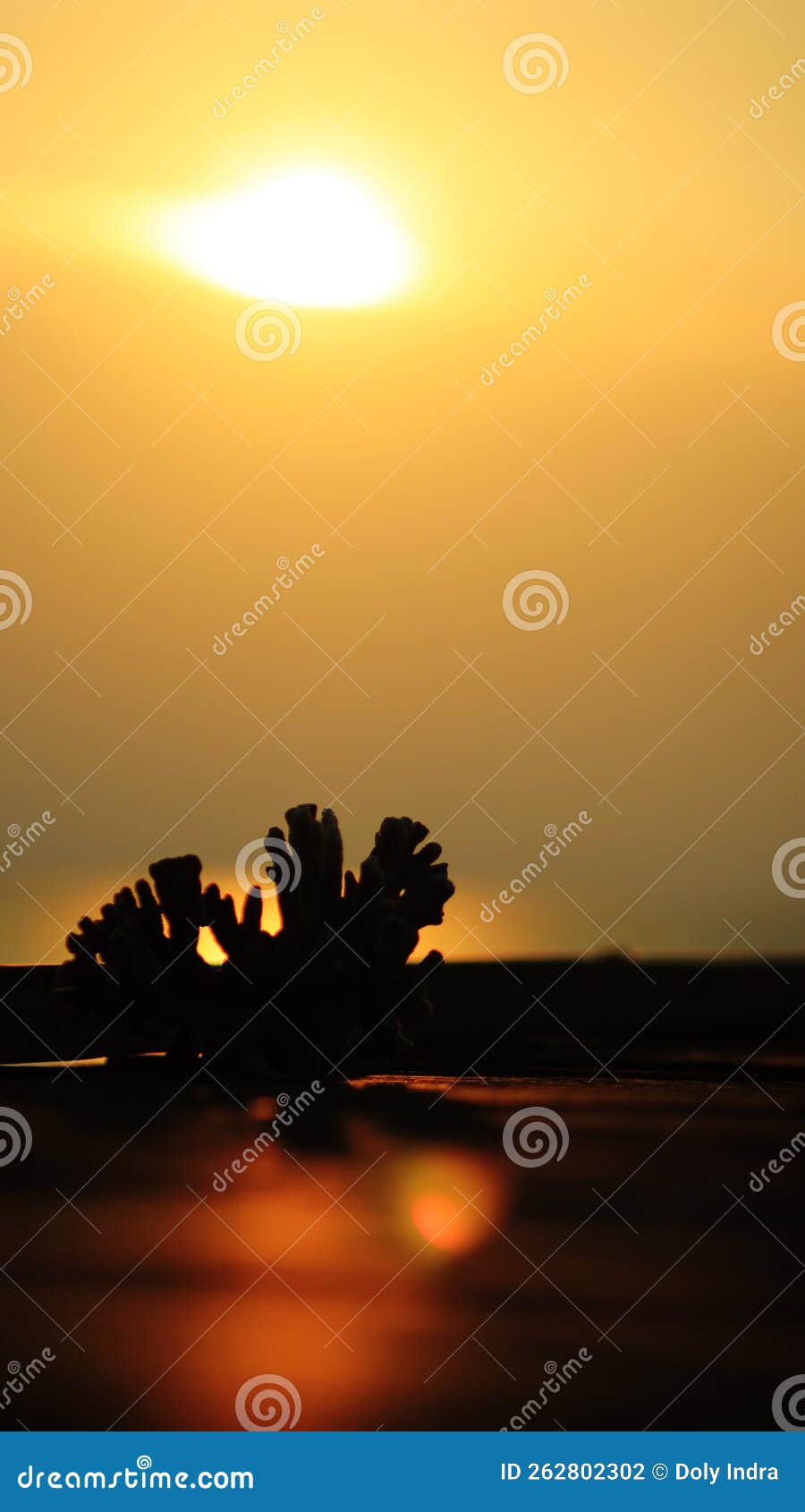 Sunset stock photo. Image of silhouette, light, candlelight - 262802302