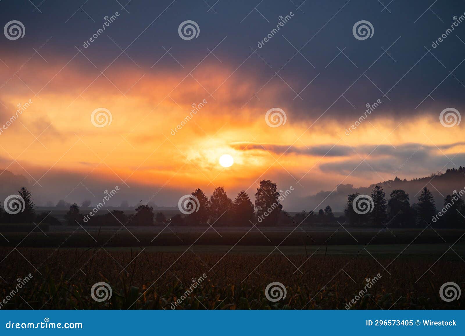 Sunset with a Sprawling Field and a Dense Forest in the Background ...