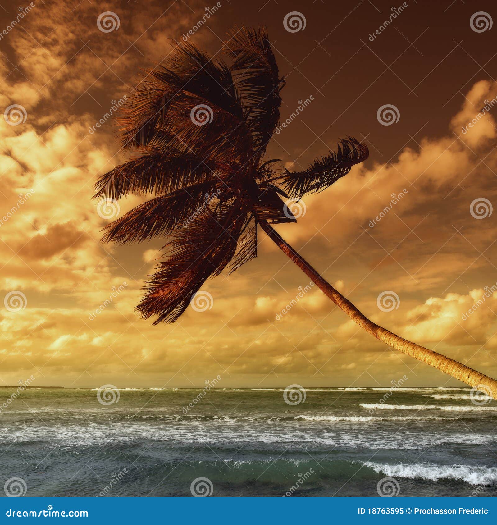 Sunset square stock image. Image of dream, paradise, dark - 18763595