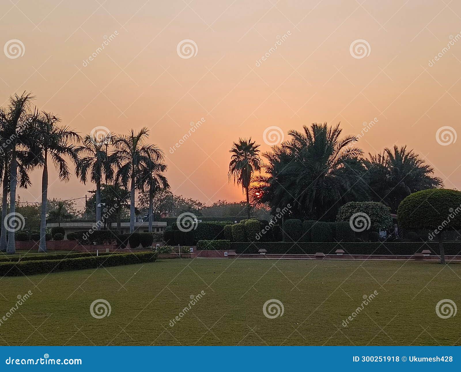 Sunset state of mind stock photo. Image of nature, trees - 300251918