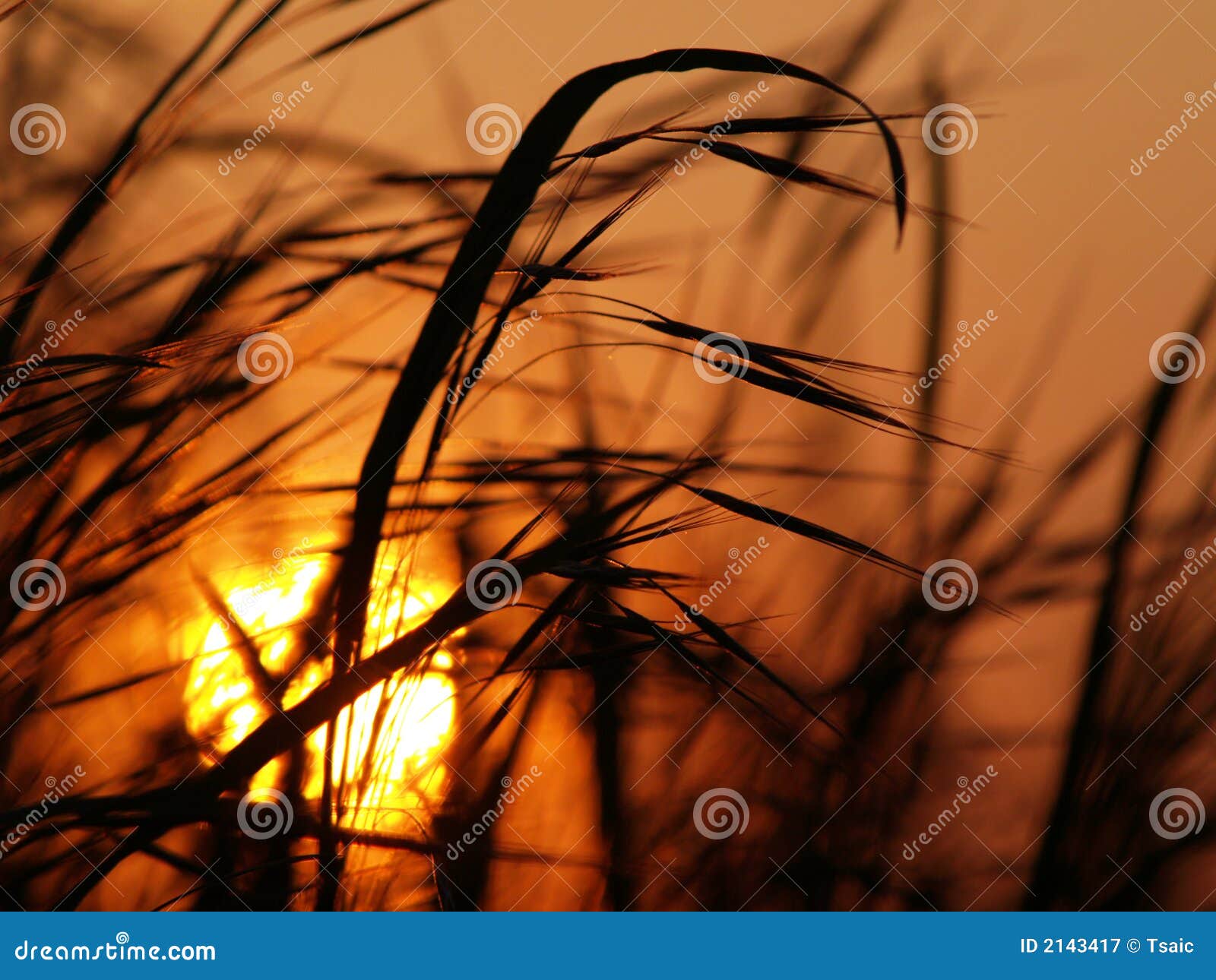 Sunset story stock image. Image of morning, rest, beauty - 2143417