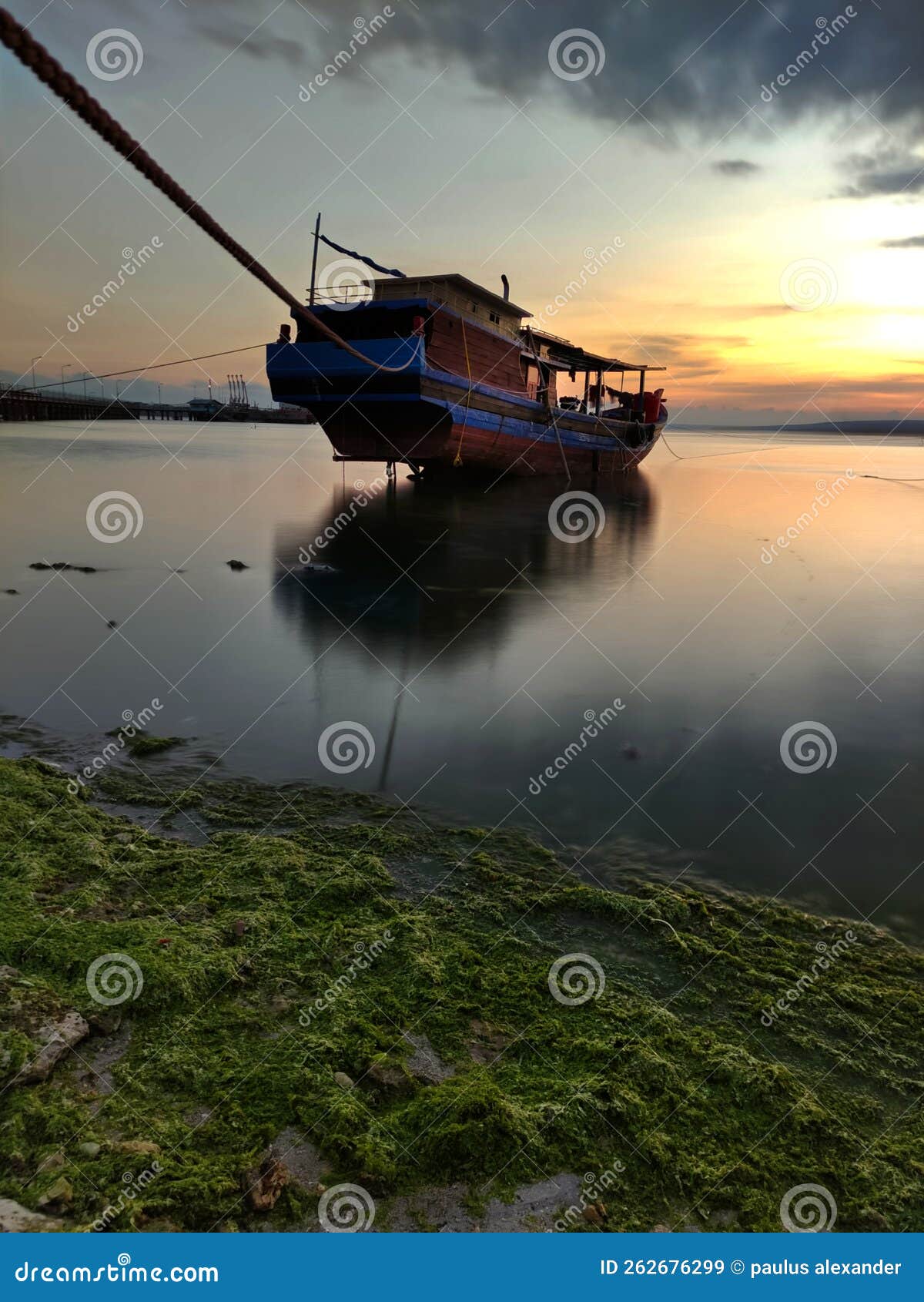 Sunset story at sea stock image. Image of sunset, tree - 262676299