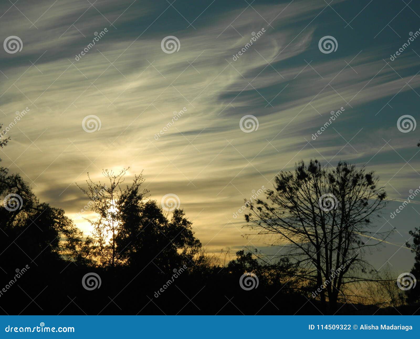 Sunset and Stratus Clouds stock photo. Image of clouds - 114509322