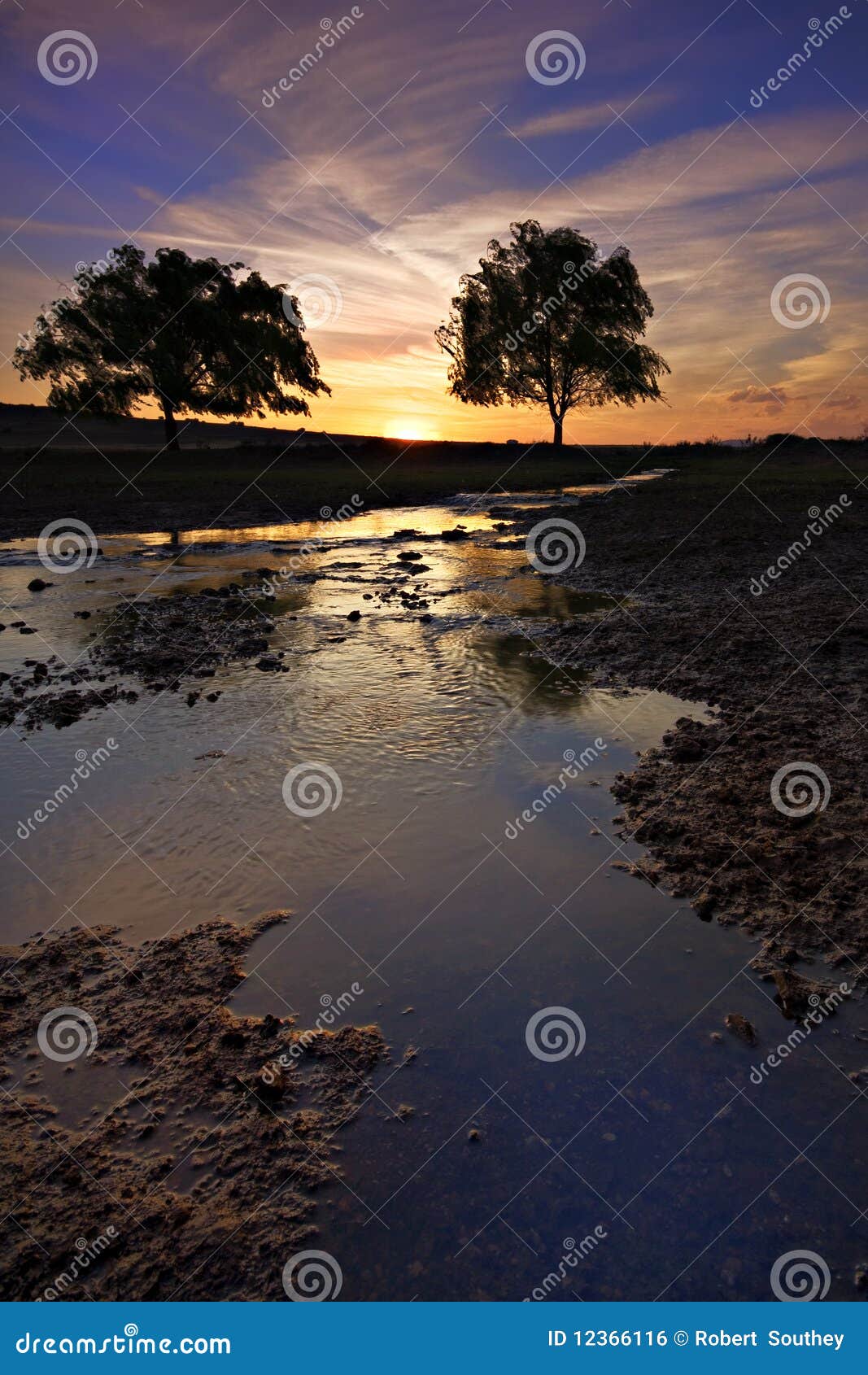 Sunset Stream stock photo. Image of river, light, sunset - 12366116