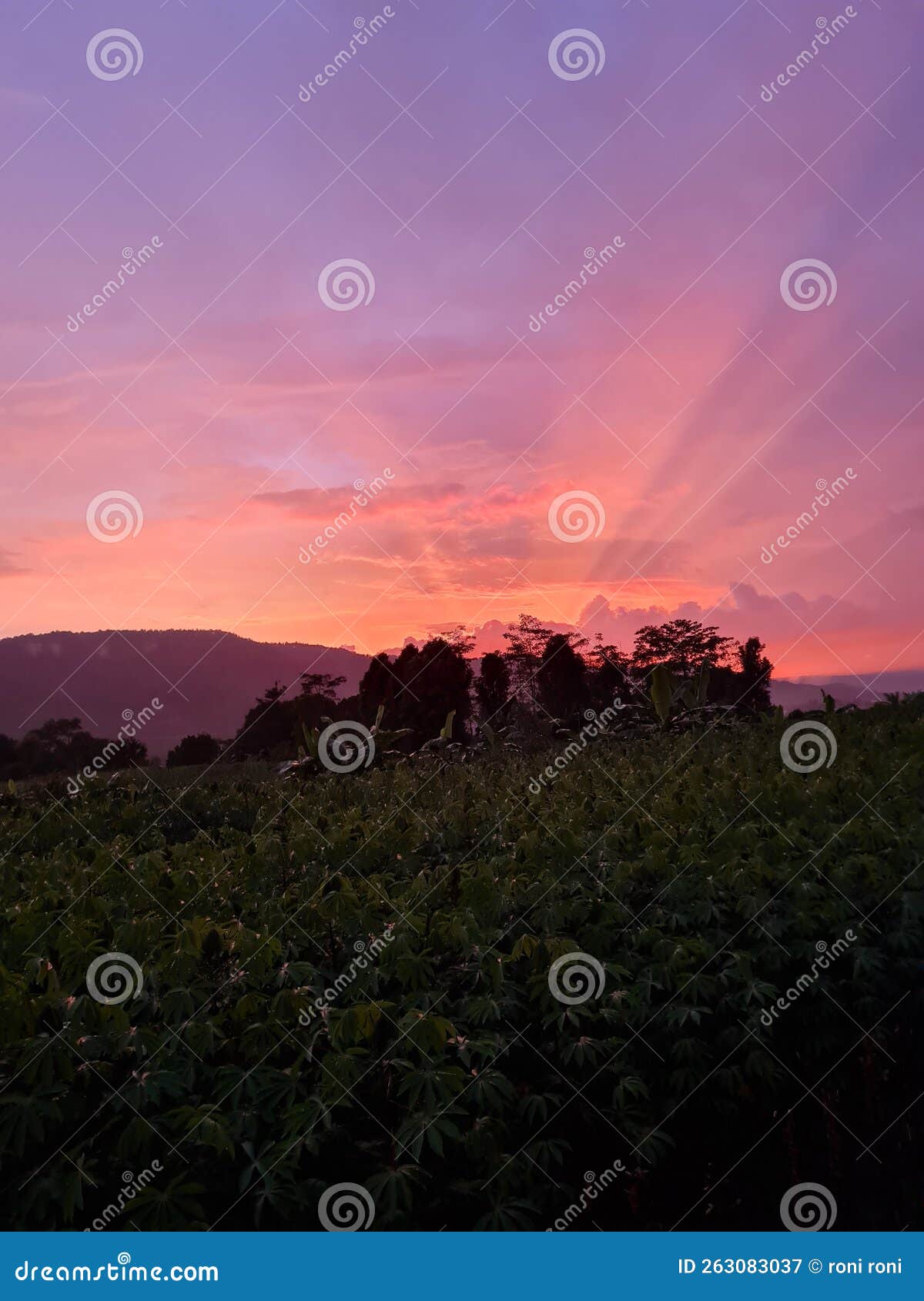 Sunset from Sukabumi West Java Stock Image - Image of sunset, painting ...