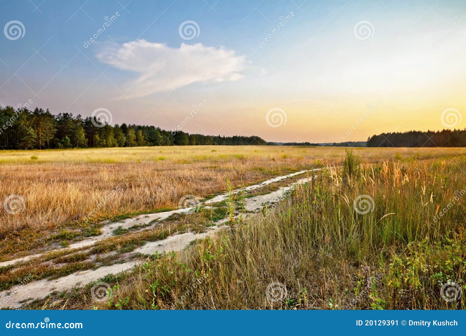 Sunset in summer field stock image. Image of flora, freedom - 20129391