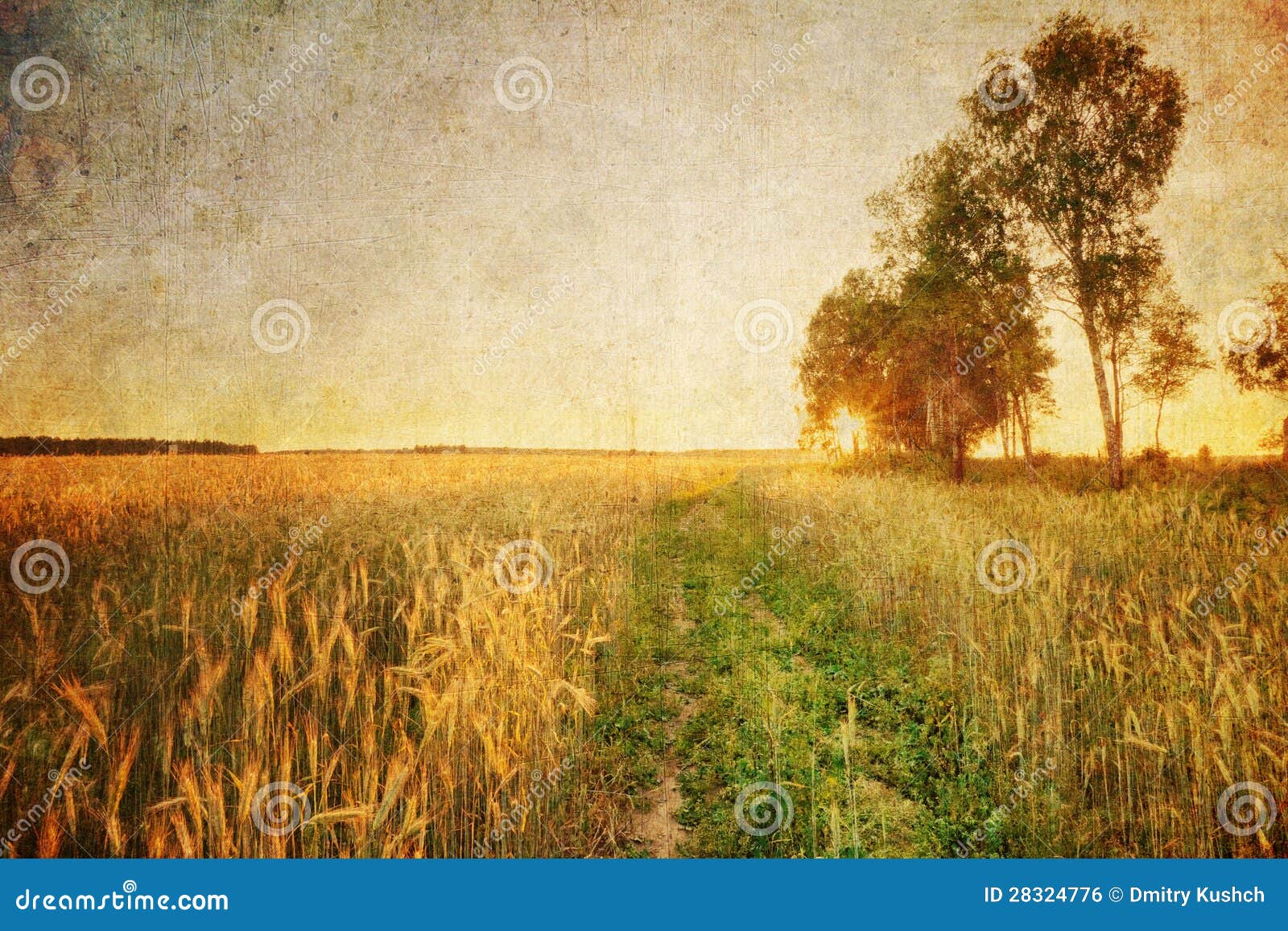 Sunset in summer field stock photo. Image of outdoor - 28324776