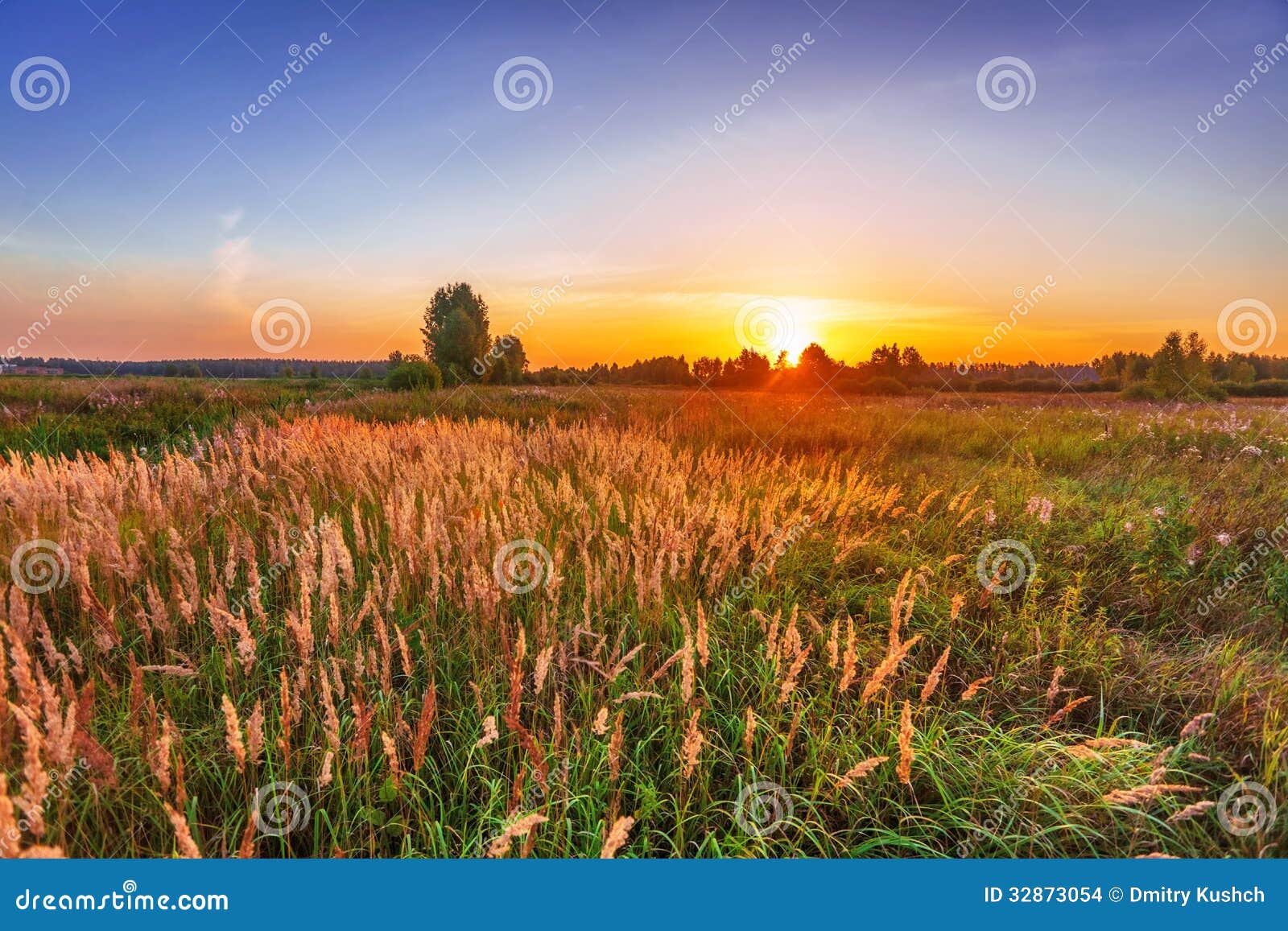 Sunset in summer field stock photo. Image of morning - 32873054