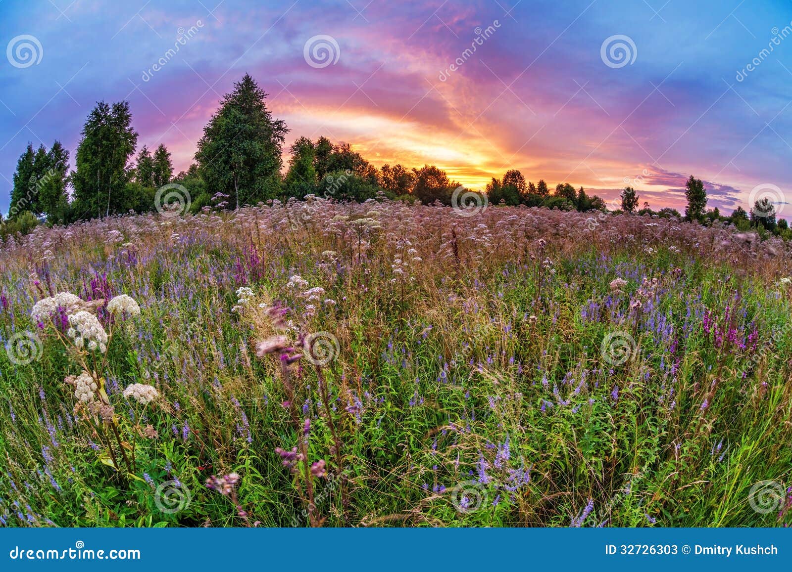 Sunset in summer field stock image. Image of nature, color - 32726303