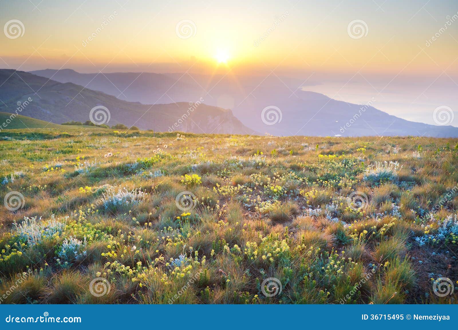 Sunset in Summer Mountains. Stock Image - Image of landscape, beautiful ...