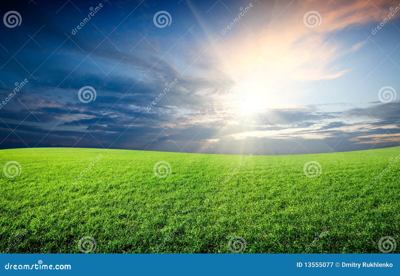 Sunset Sun and Field of Grass Stock Image - Image of farming, pasture ...