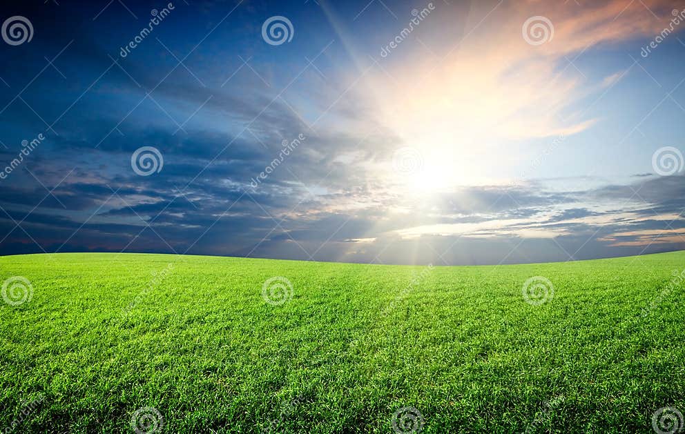 Sunset Sun and Field of Grass Stock Image - Image of farming, pasture ...
