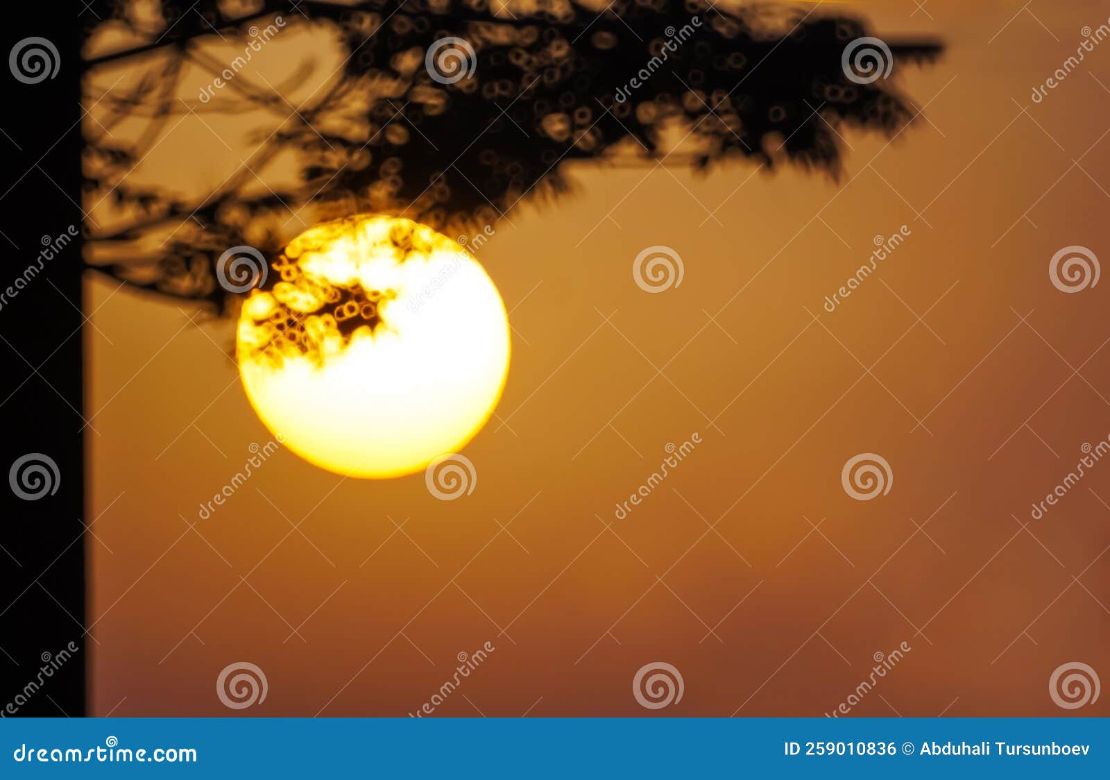 Sunset stock photo. Image of reflection, nature, orange - 259010836