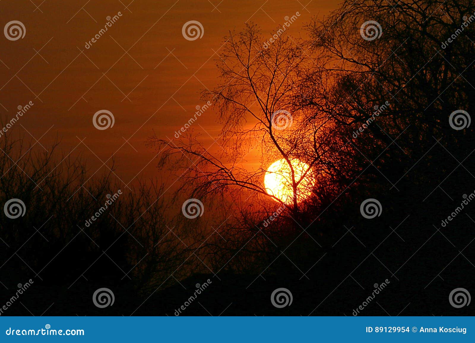 Sunset stock photo. Image of clouds, evening, horizon - 89129954