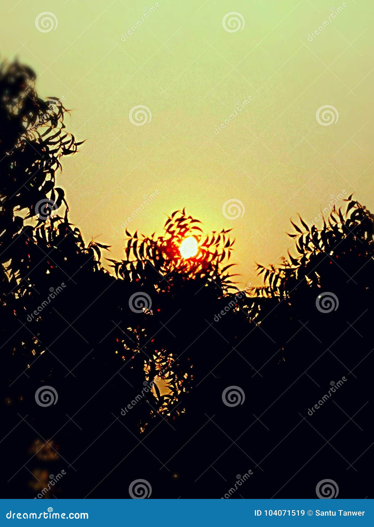 Sunset. Sun Point. Sun Light. Evening Sun Scene Stock Image - Image of ...