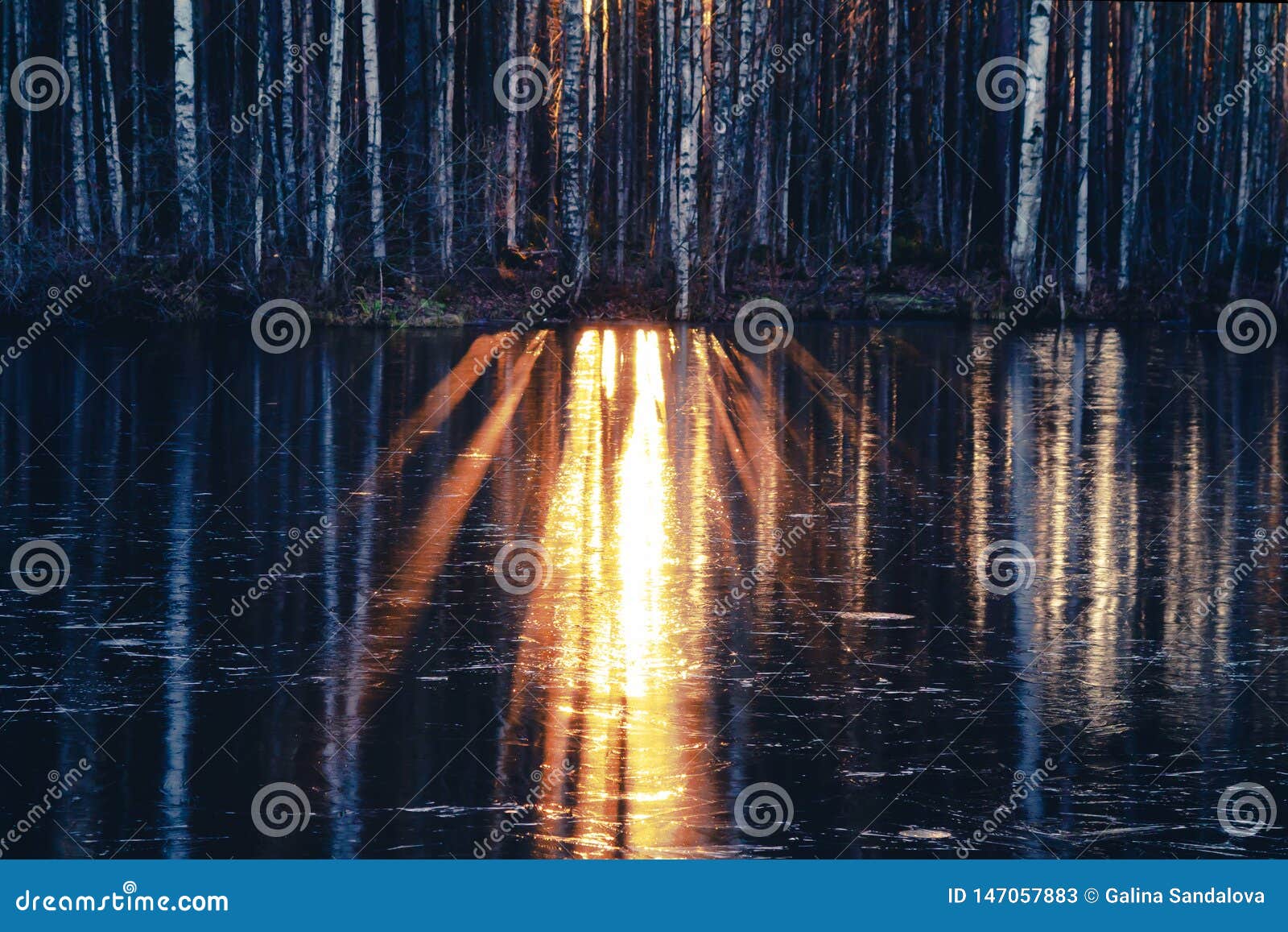 Sunset Sun is Reflected in the River Water Stock Image - Image of rays ...