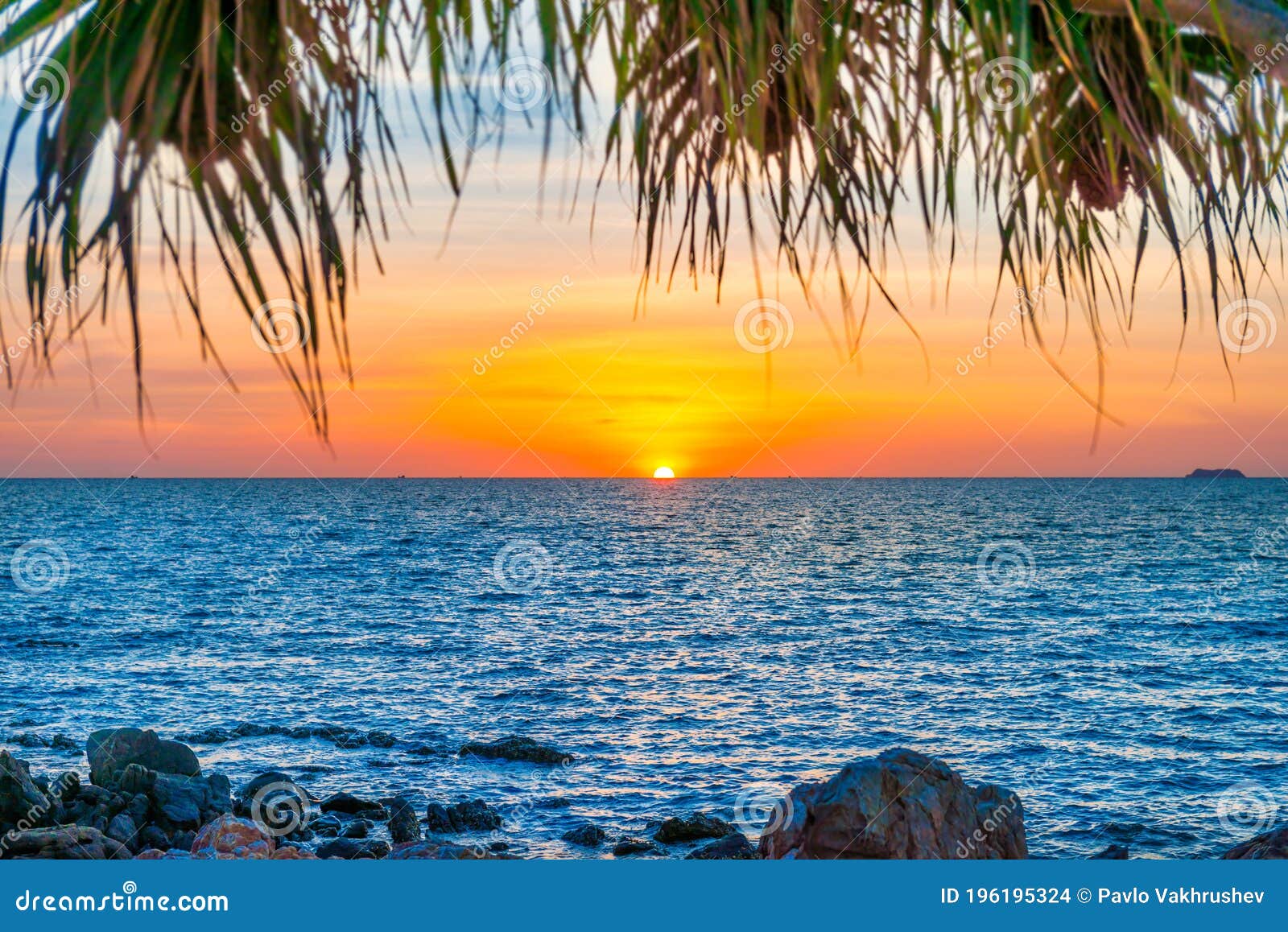 Sunset Sun on Sea and Palm Tree Stock Photo - Image of ocean, paradise ...