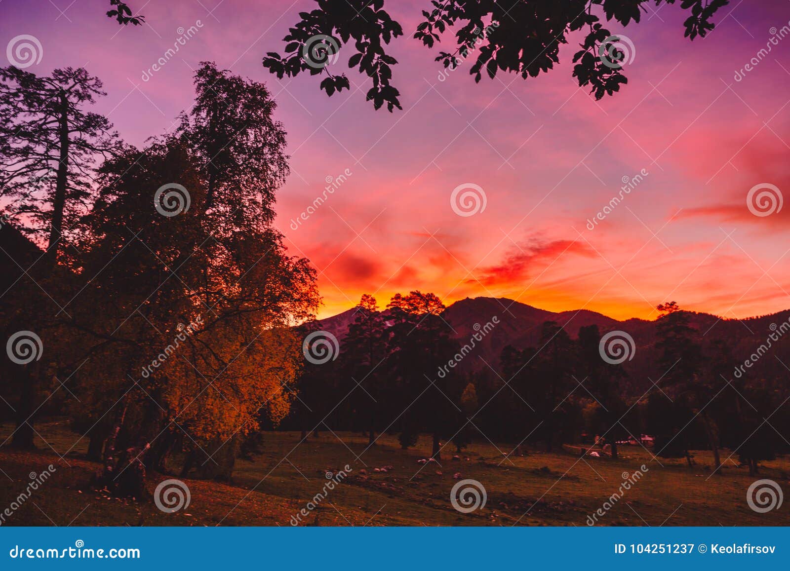 Sunset or Sunrise Behind Tree in the Forest with Sky and Mountains ...
