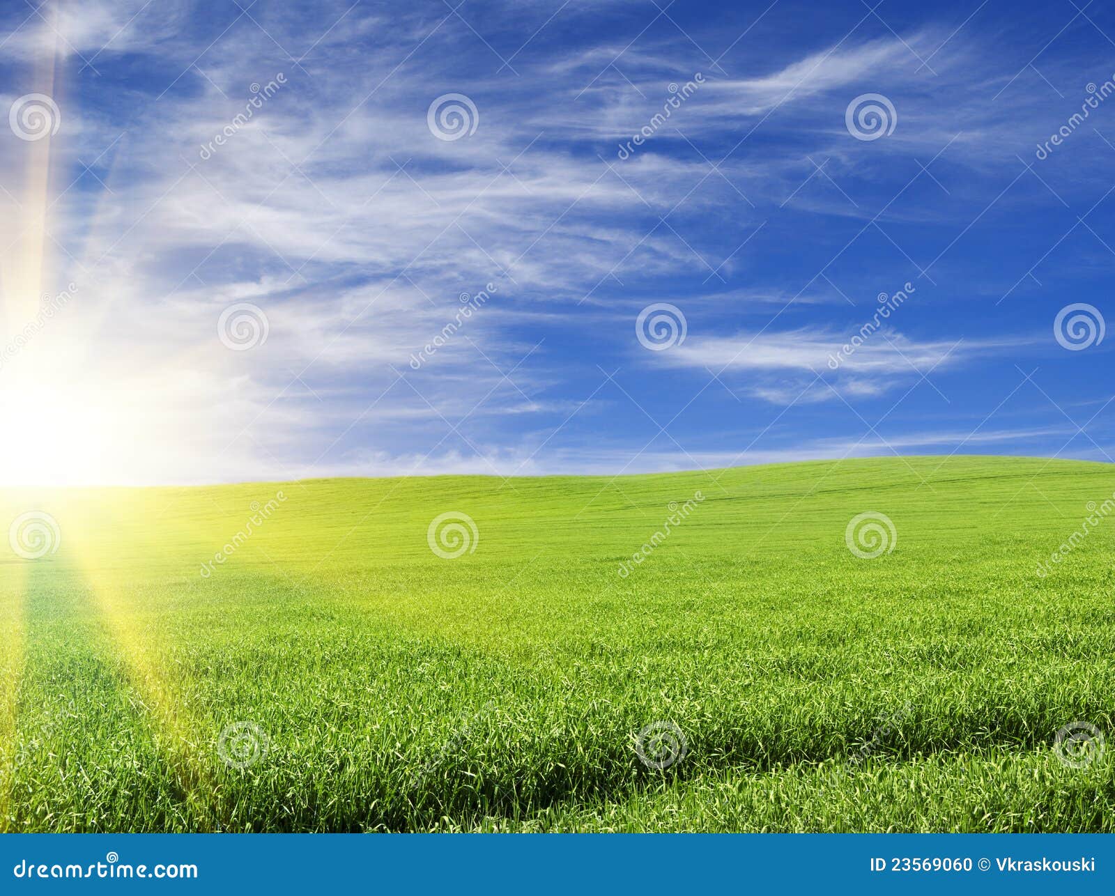 Sunset or Sunrise in the Green Field Stock Photo - Image of grow ...