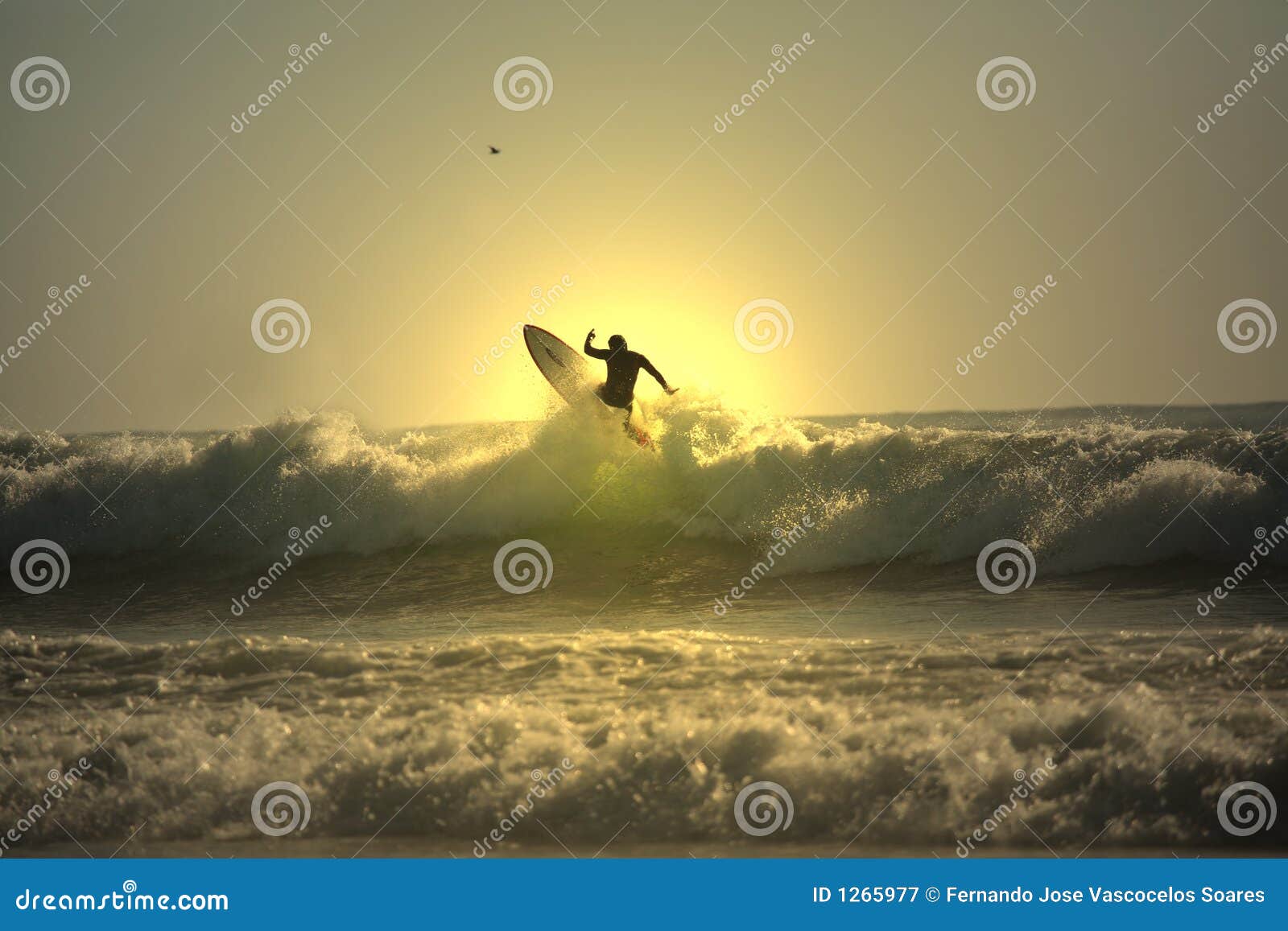 Sunset surfer stock image. Image of sport, action, spirit - 1265977