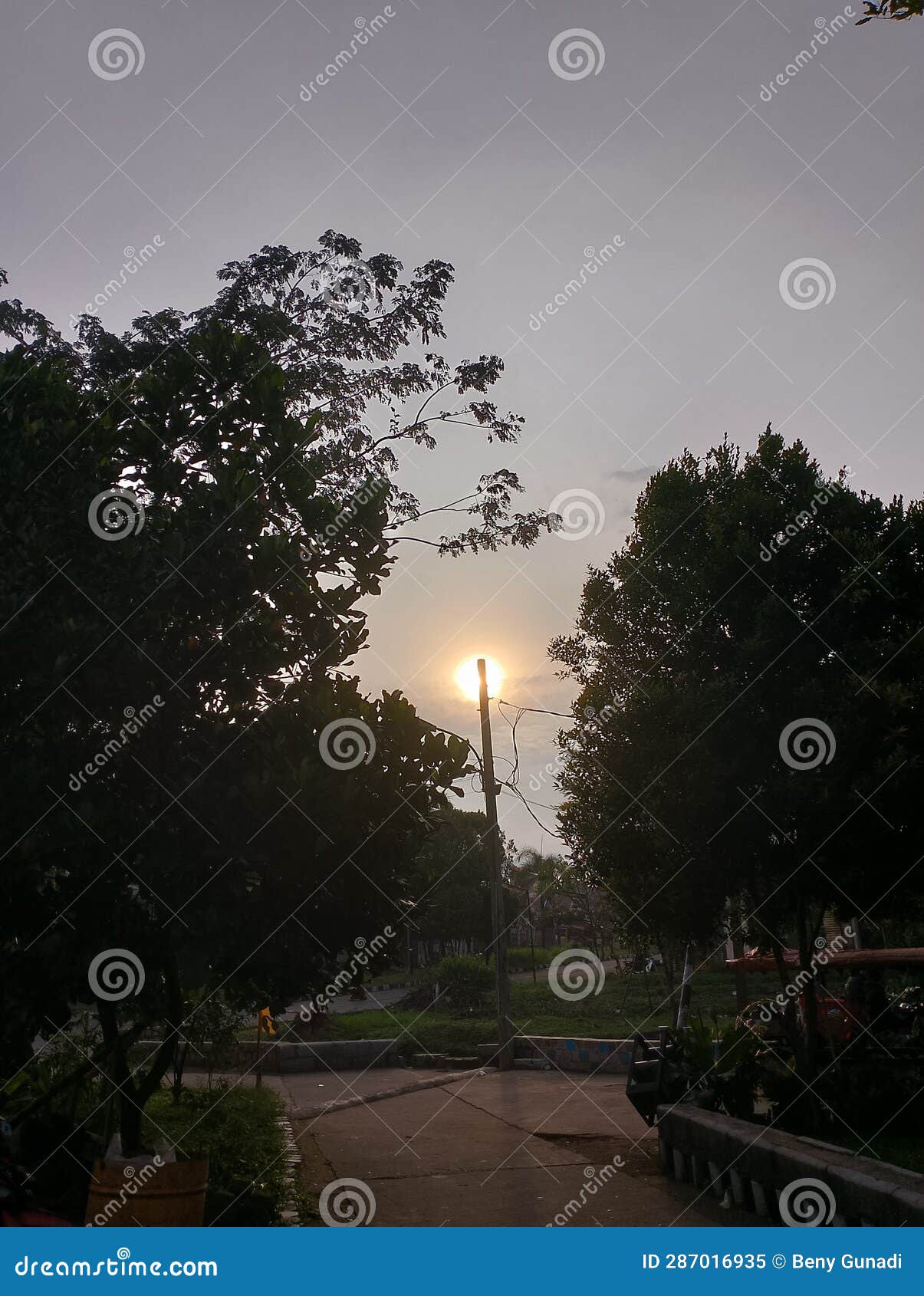 Sunset Surrounded by Trees and Beautiful Paths Stock Image - Image of ...