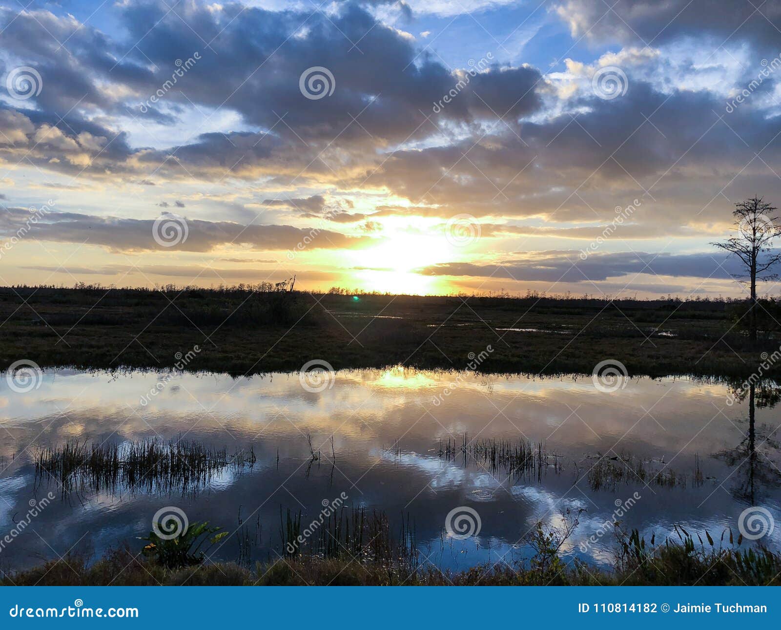 Sunset in the swamp stock photo. Image of pastel, lake - 110814182