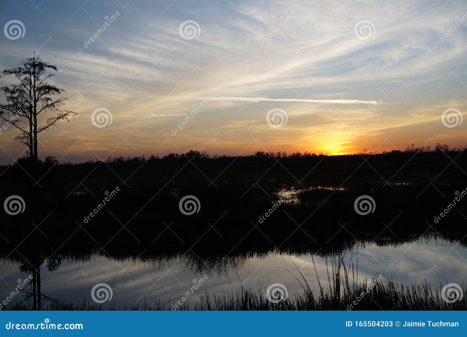 Sunset in the swamp stock image. Image of nature, dusk - 165504203