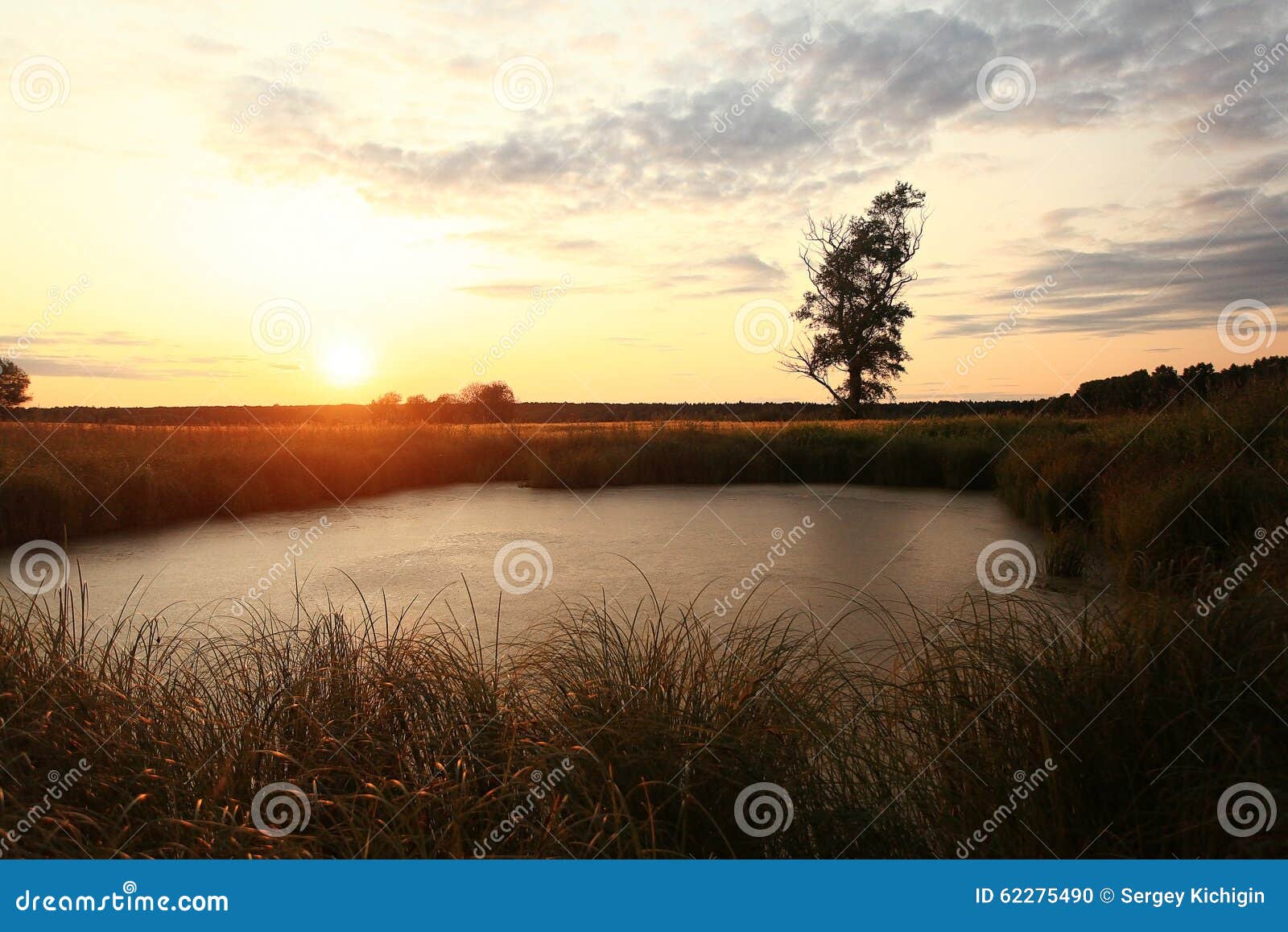 Sunset in swampy field stock photo. Image of nature, country - 62275490