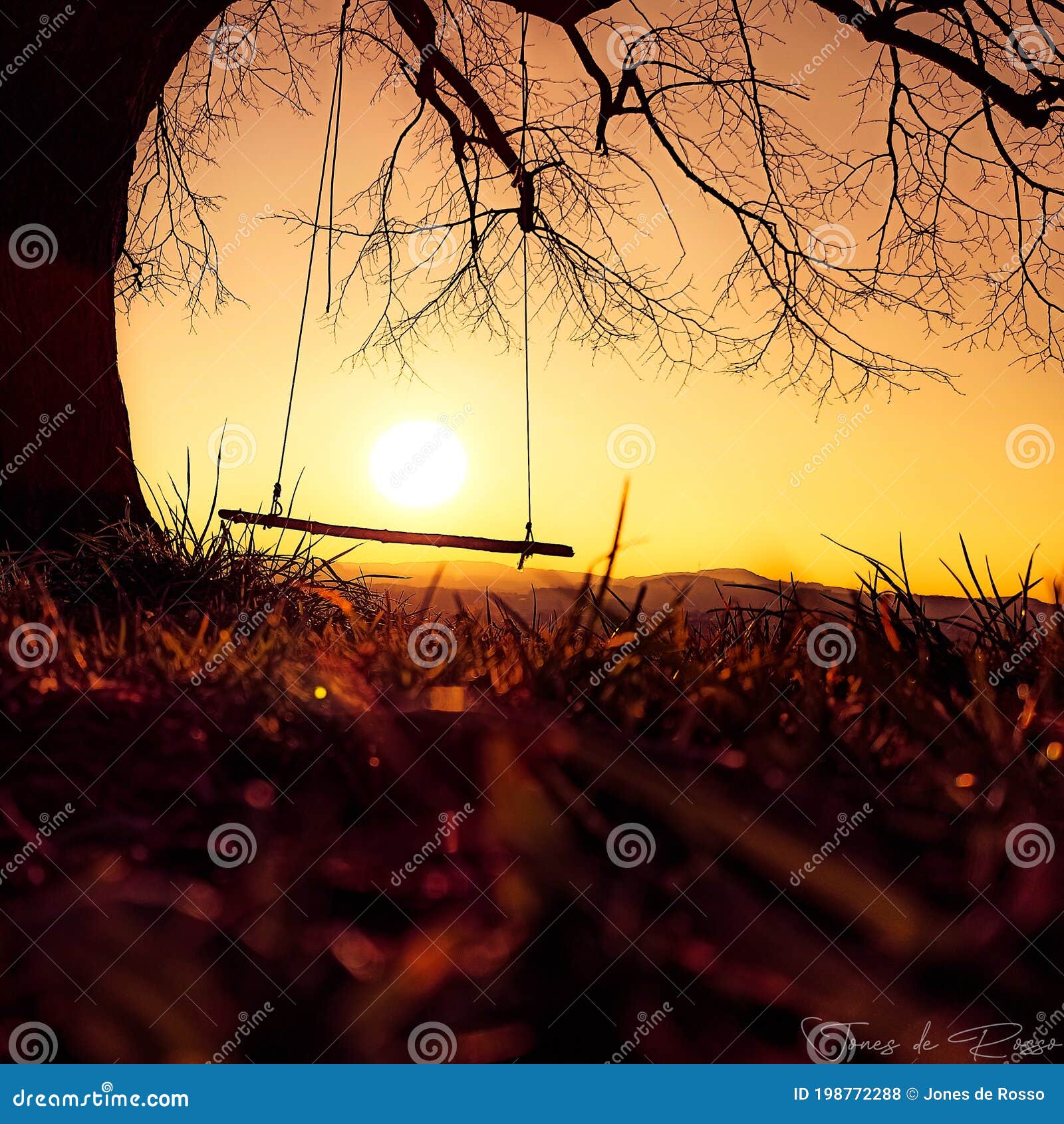 Sunset Swing Tree Big Single Sunrise Red Ast Stock Photo - Image of ...