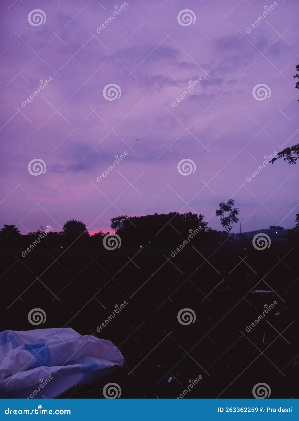 Tangera Stock Photos - Free & Royalty-Free Stock Photos from Dreamstime